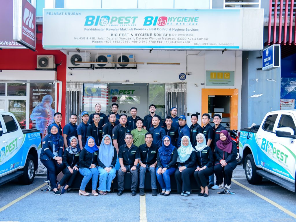 Top-Rated Termite Control in Malaysia